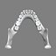 3d mandible model