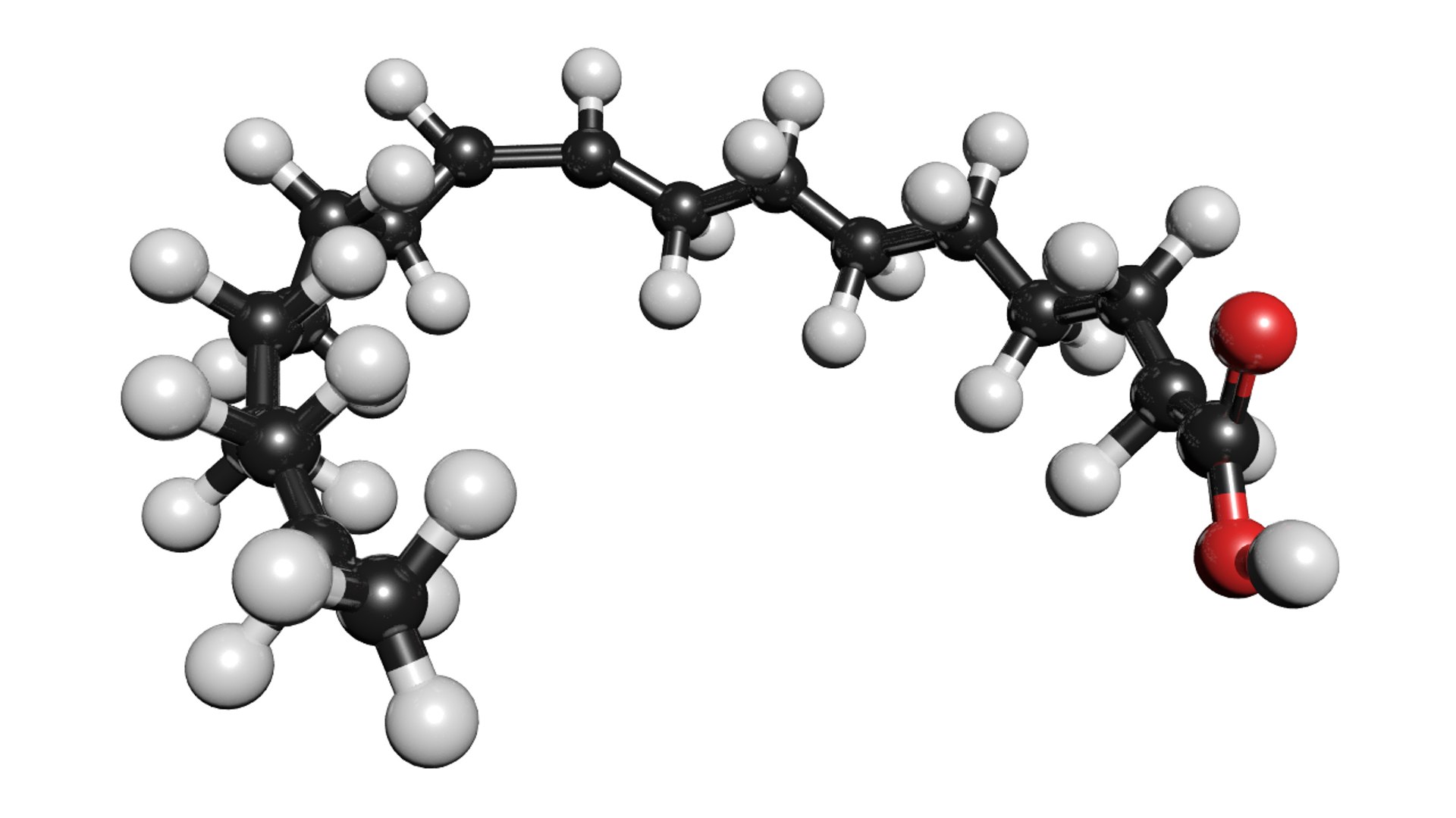 3D C18h34o2 Oleic Acid Model - TurboSquid 1425802