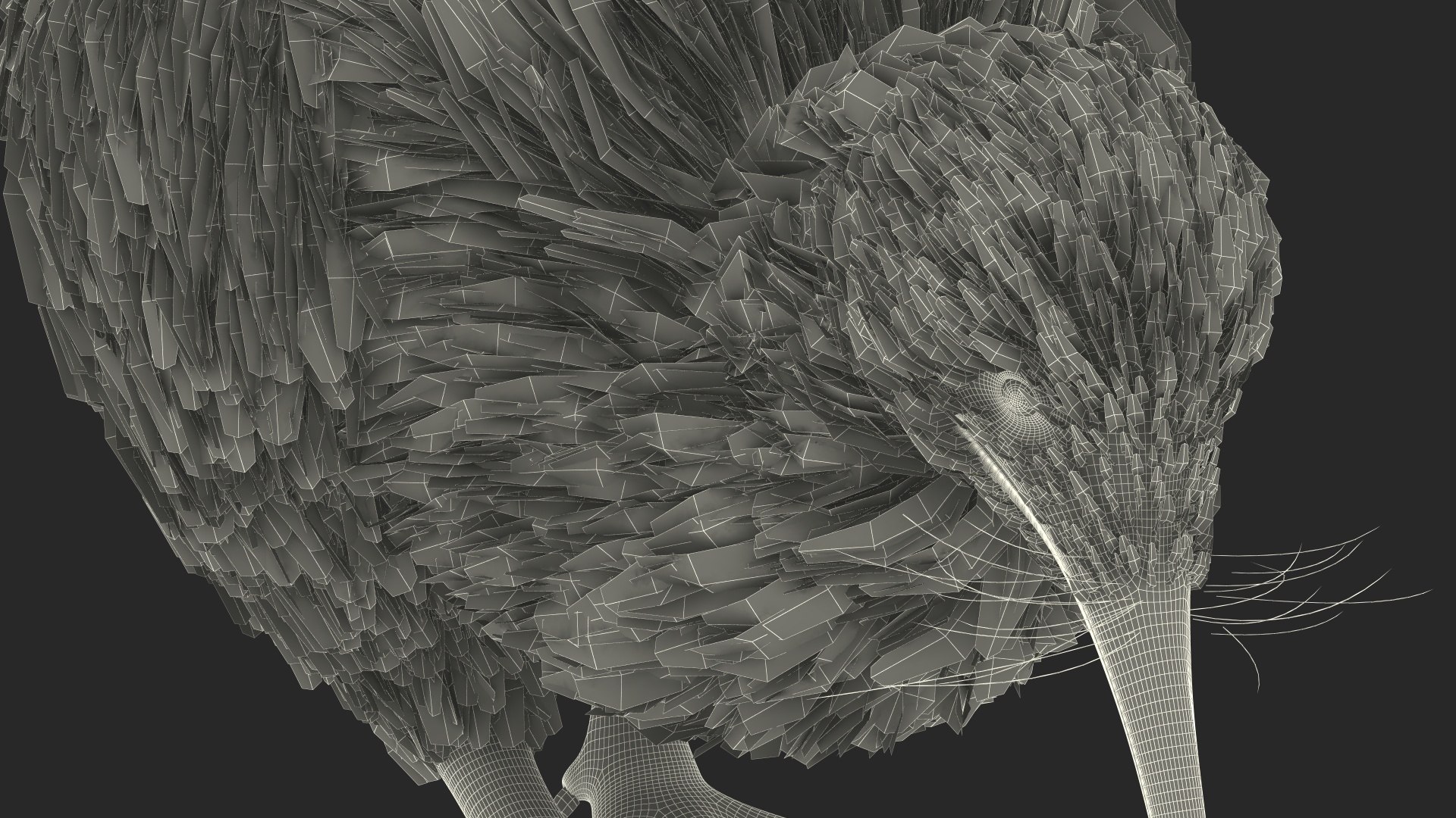 Cute Kiwi Bird 3D - TurboSquid 2104060