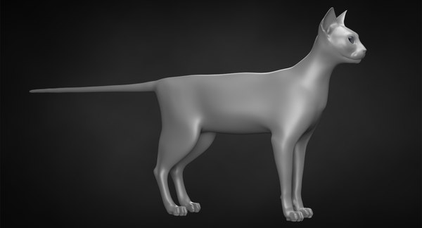 Grey cat hair 3D model - TurboSquid 1309070