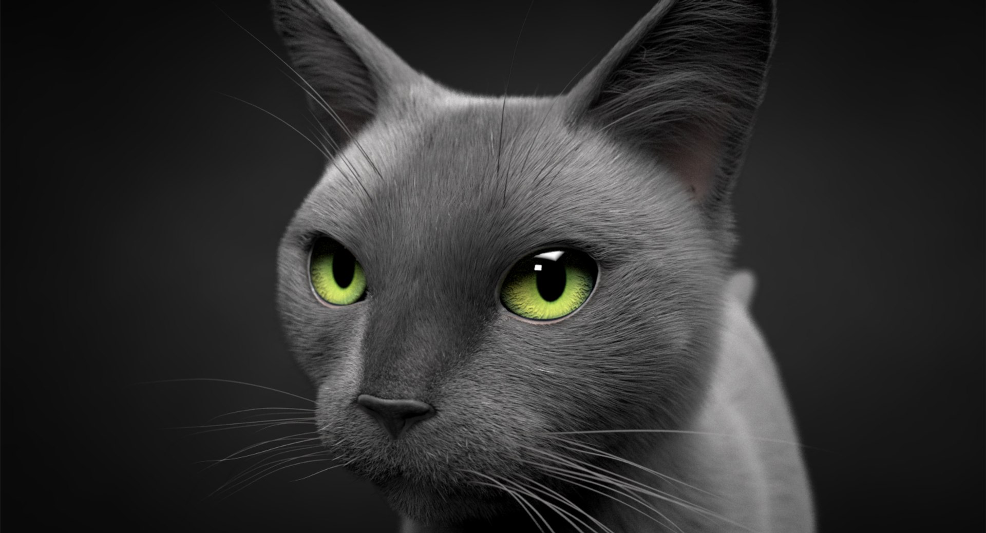 Grey Cat Hair 3D Model - TurboSquid 1309070