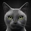 Grey Cat Hair 3D Model - TurboSquid 1309070