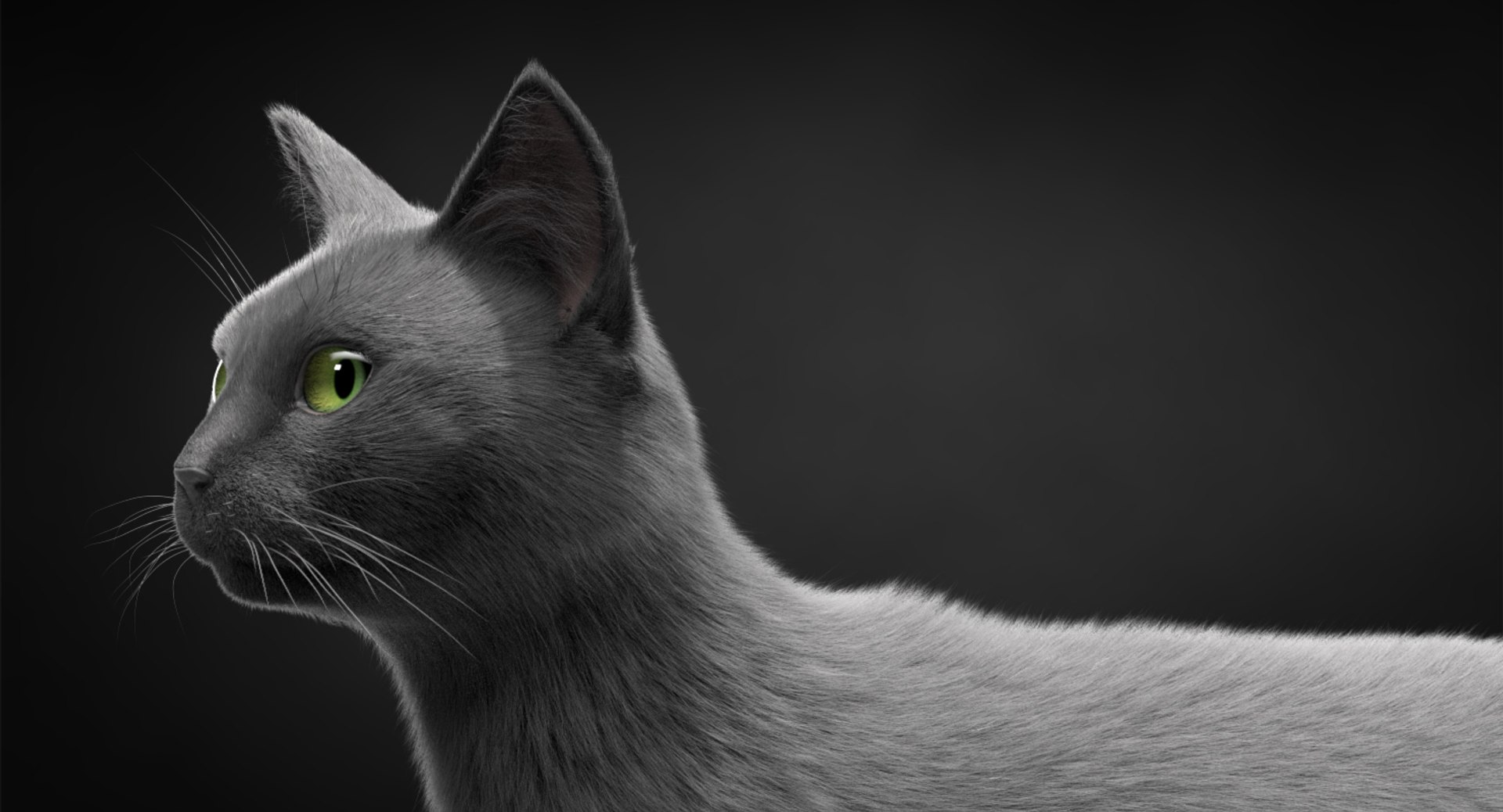 Grey Cat Hair 3D Model - TurboSquid 1309070
