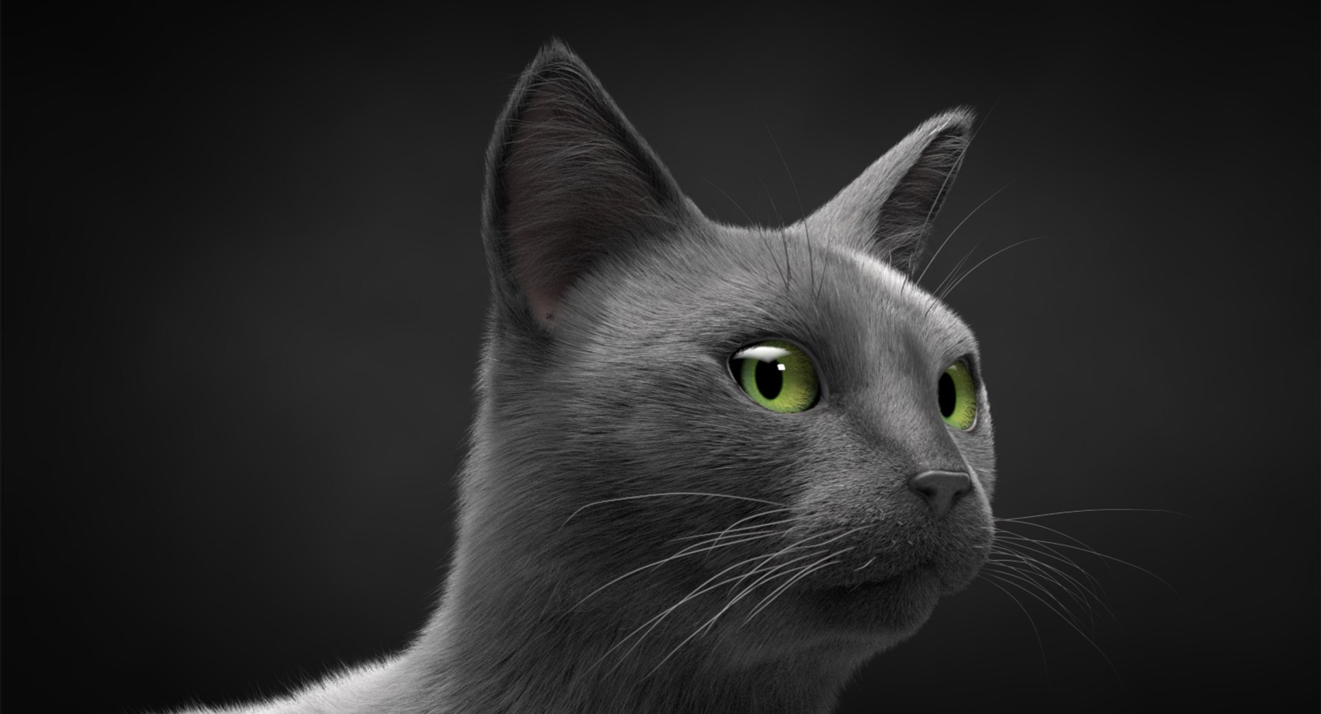 Grey Cat Hair 3D Model - TurboSquid 1309070