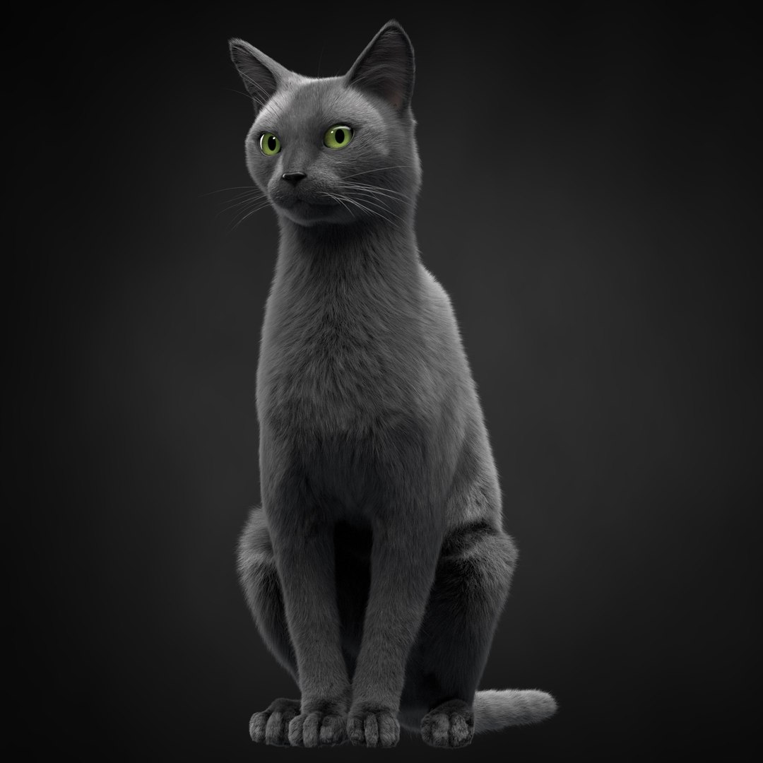 Grey Cat Hair 3D Model - TurboSquid 1309070