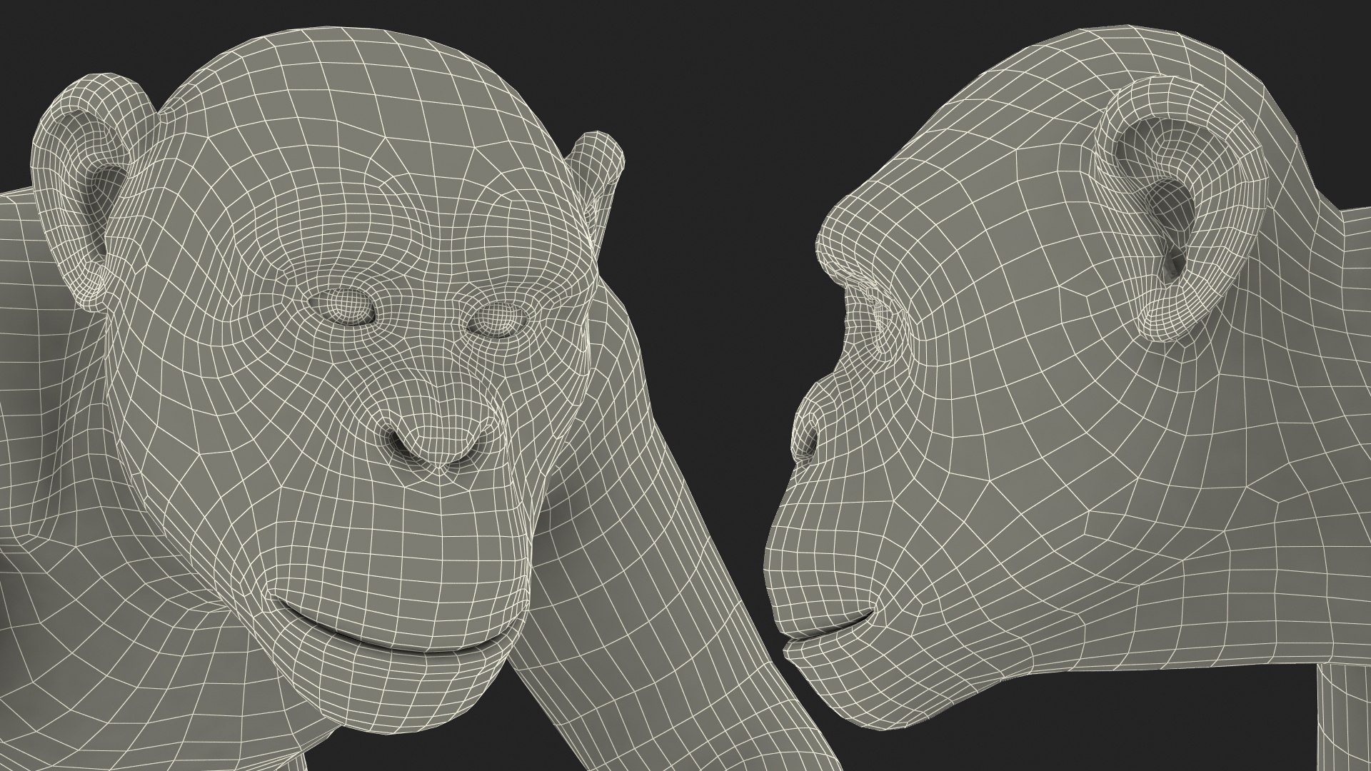 3D Light Chimpanzee Walking Pose - TurboSquid 1431262