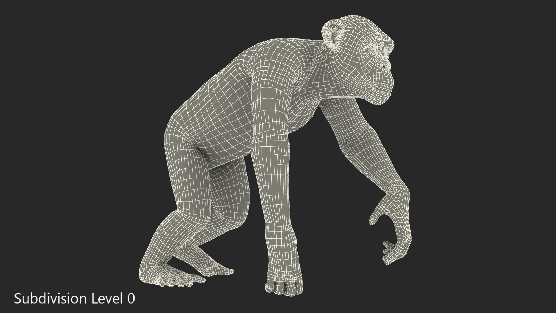 3D Light Chimpanzee Walking Pose - TurboSquid 1431262