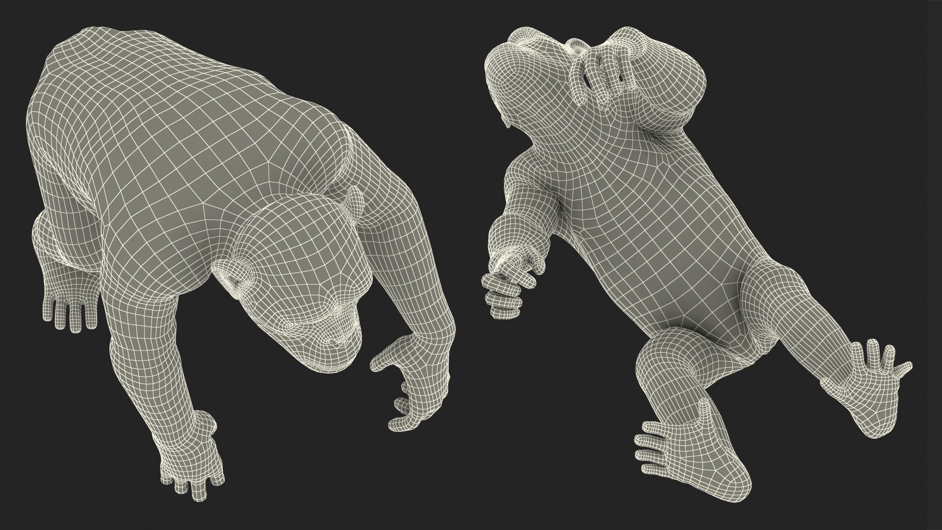 3D Light Chimpanzee Walking Pose - TurboSquid 1431262