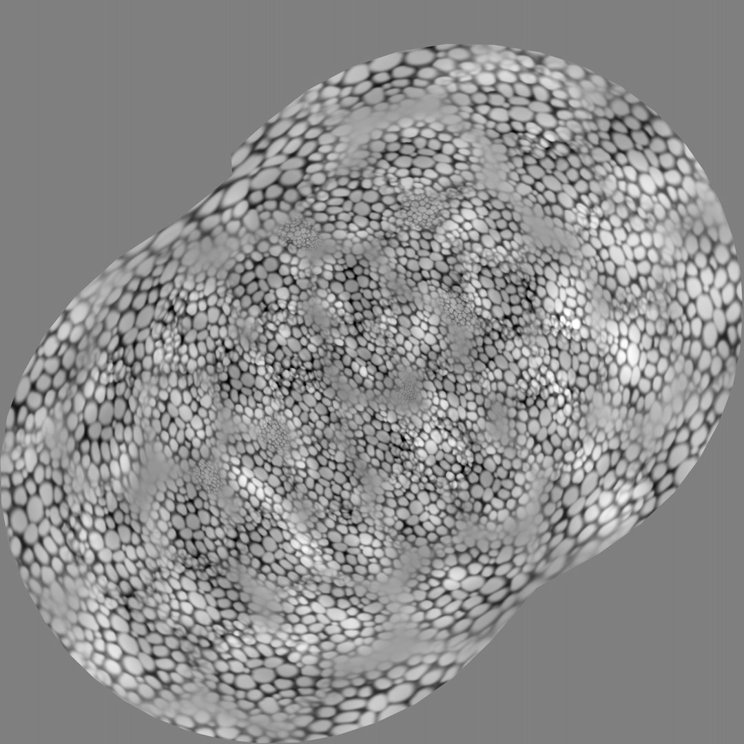 3d brown mammalian fat cell