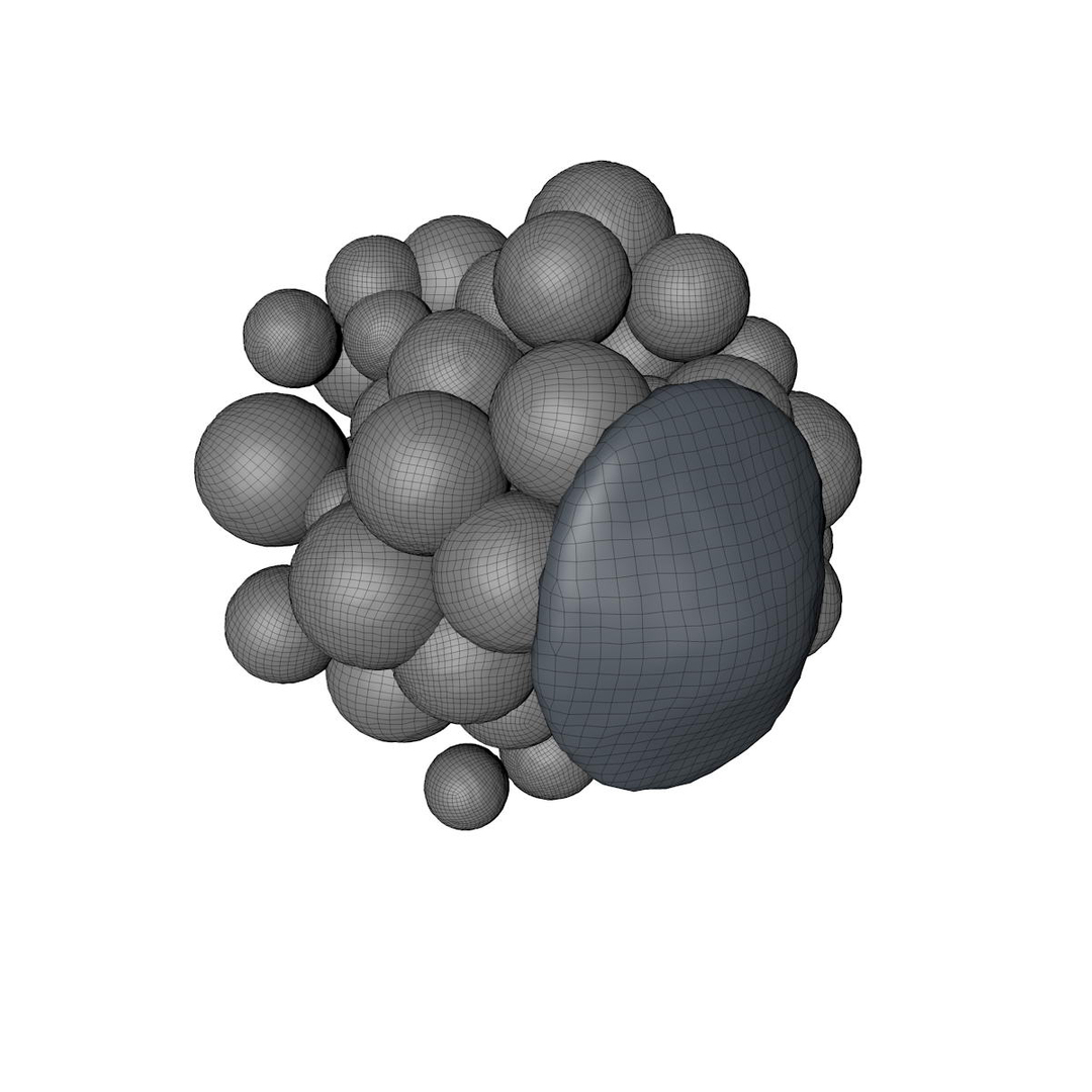 3d brown mammalian fat cell