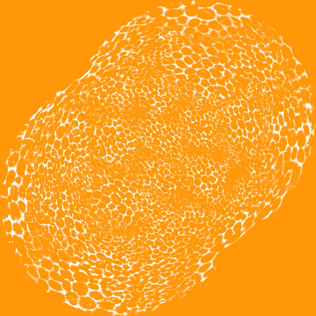 3d brown mammalian fat cell