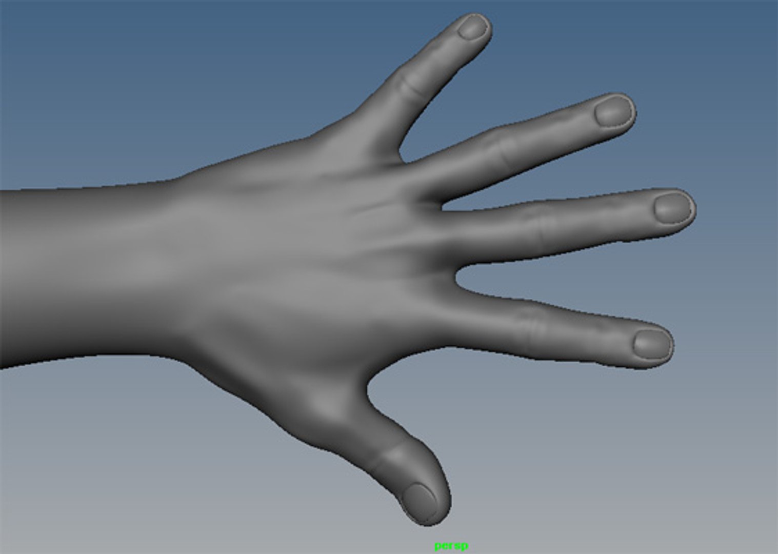Human Hand Glove 3d Obj