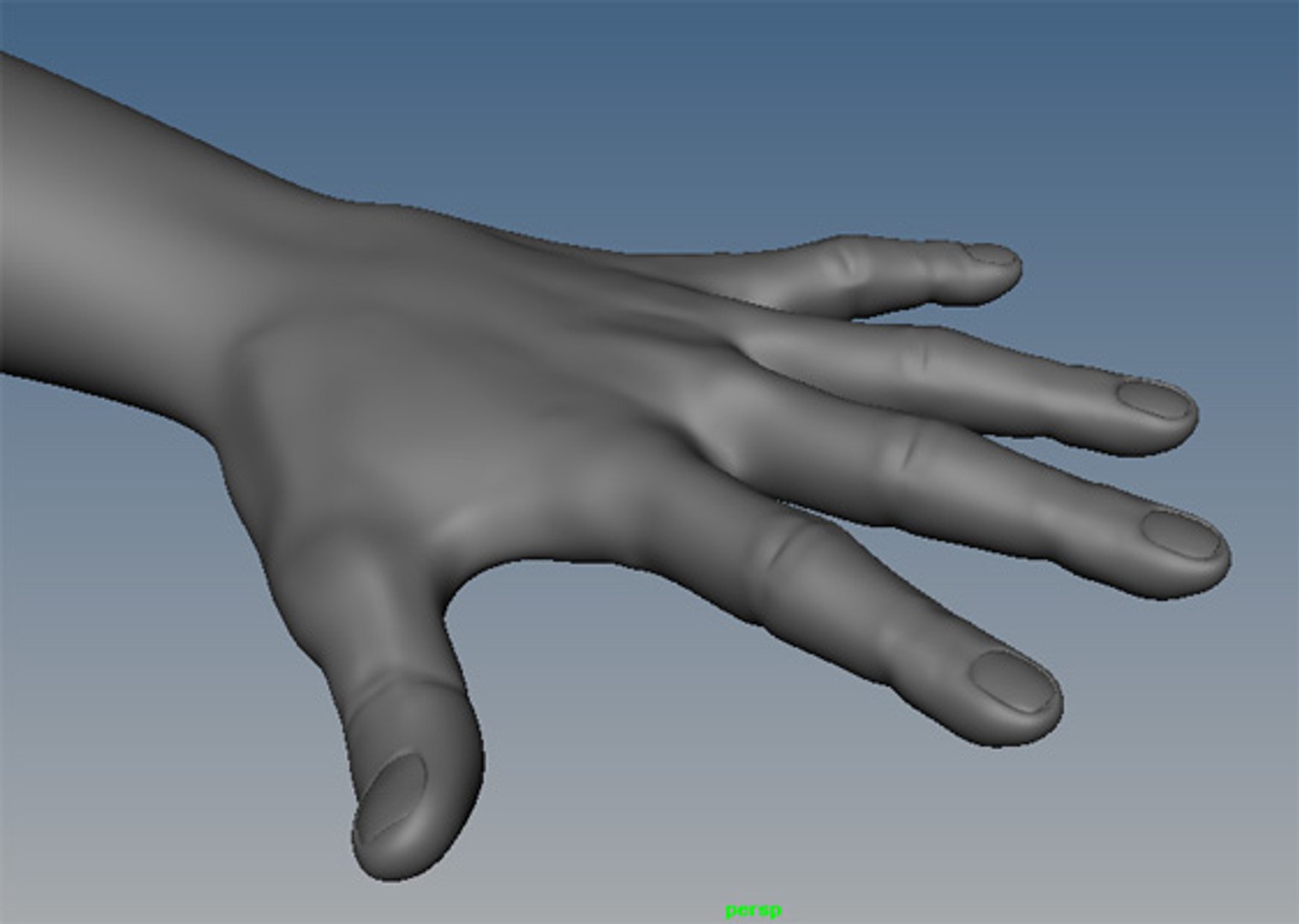 Human Hand Glove 3d Obj
