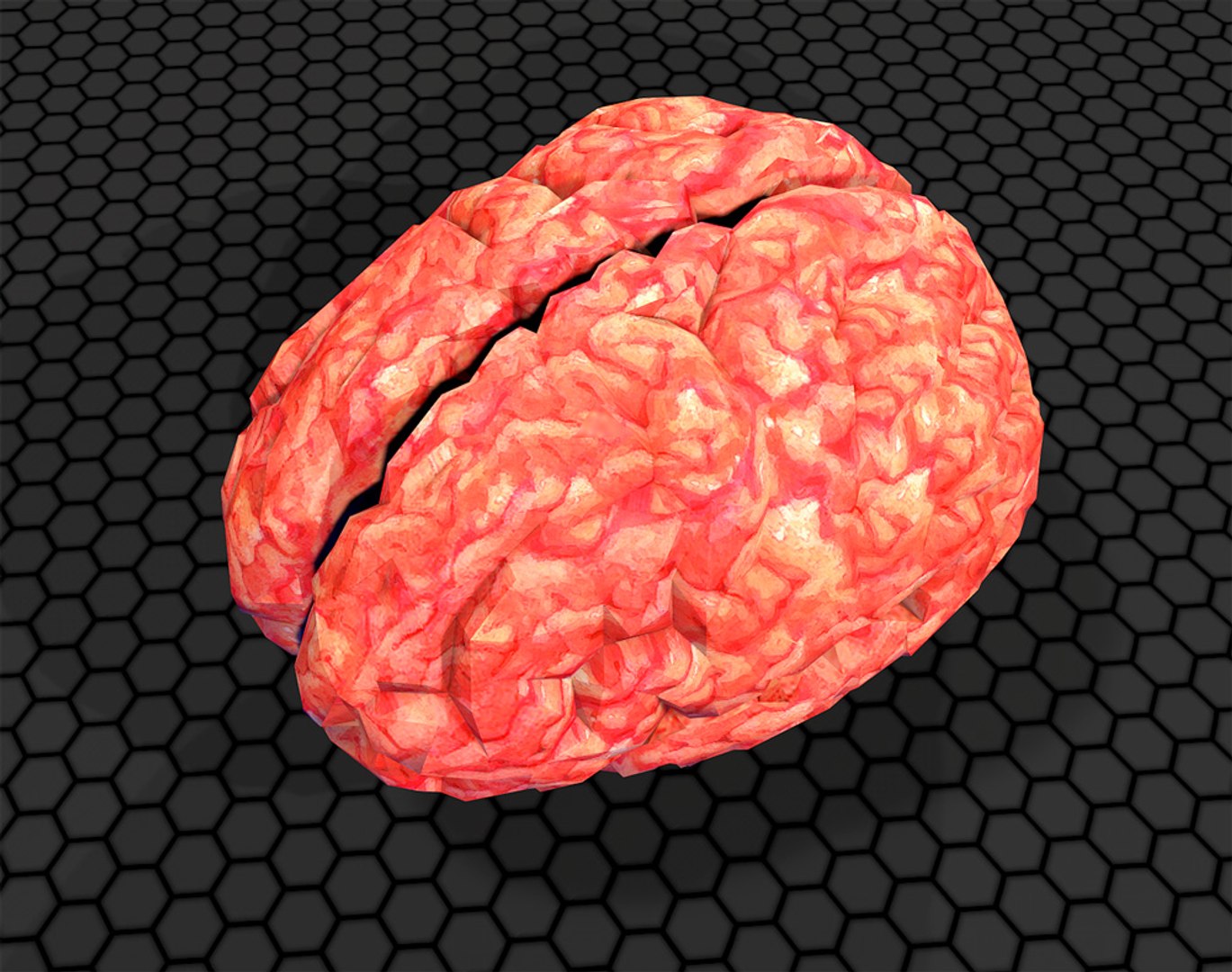 Brain Toon 3d Model