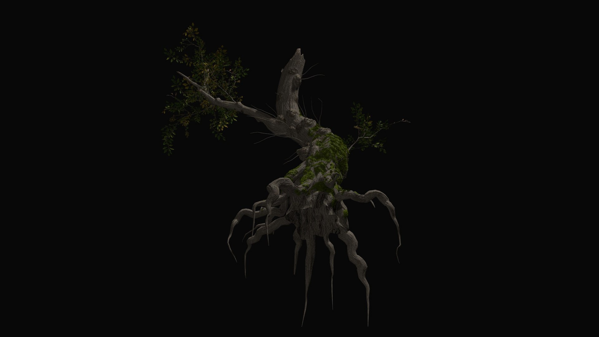 Old Bare Broken Tree Oak 3D - TurboSquid 2277429