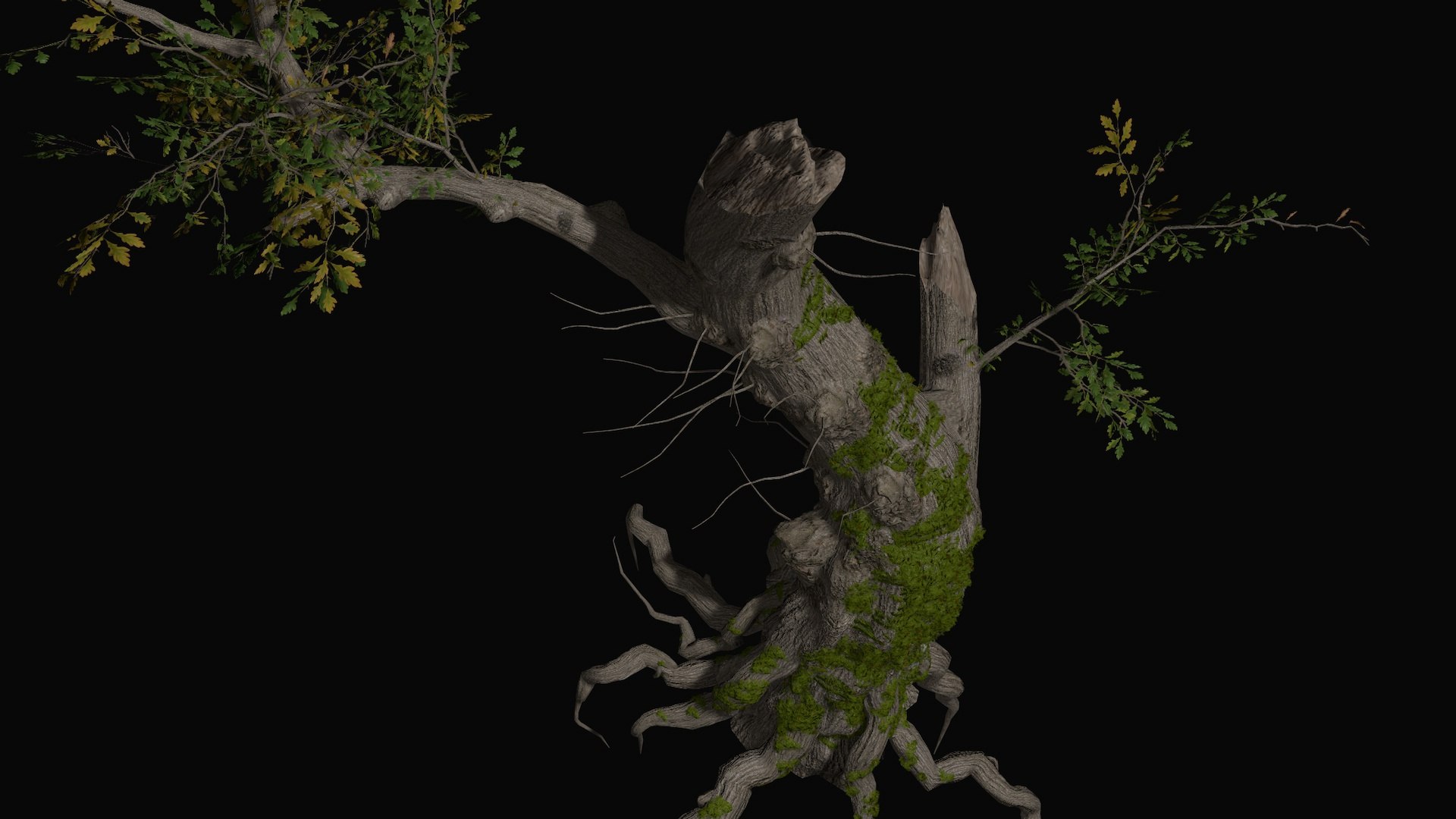 Old Bare Broken Tree Oak 3D - TurboSquid 2277429