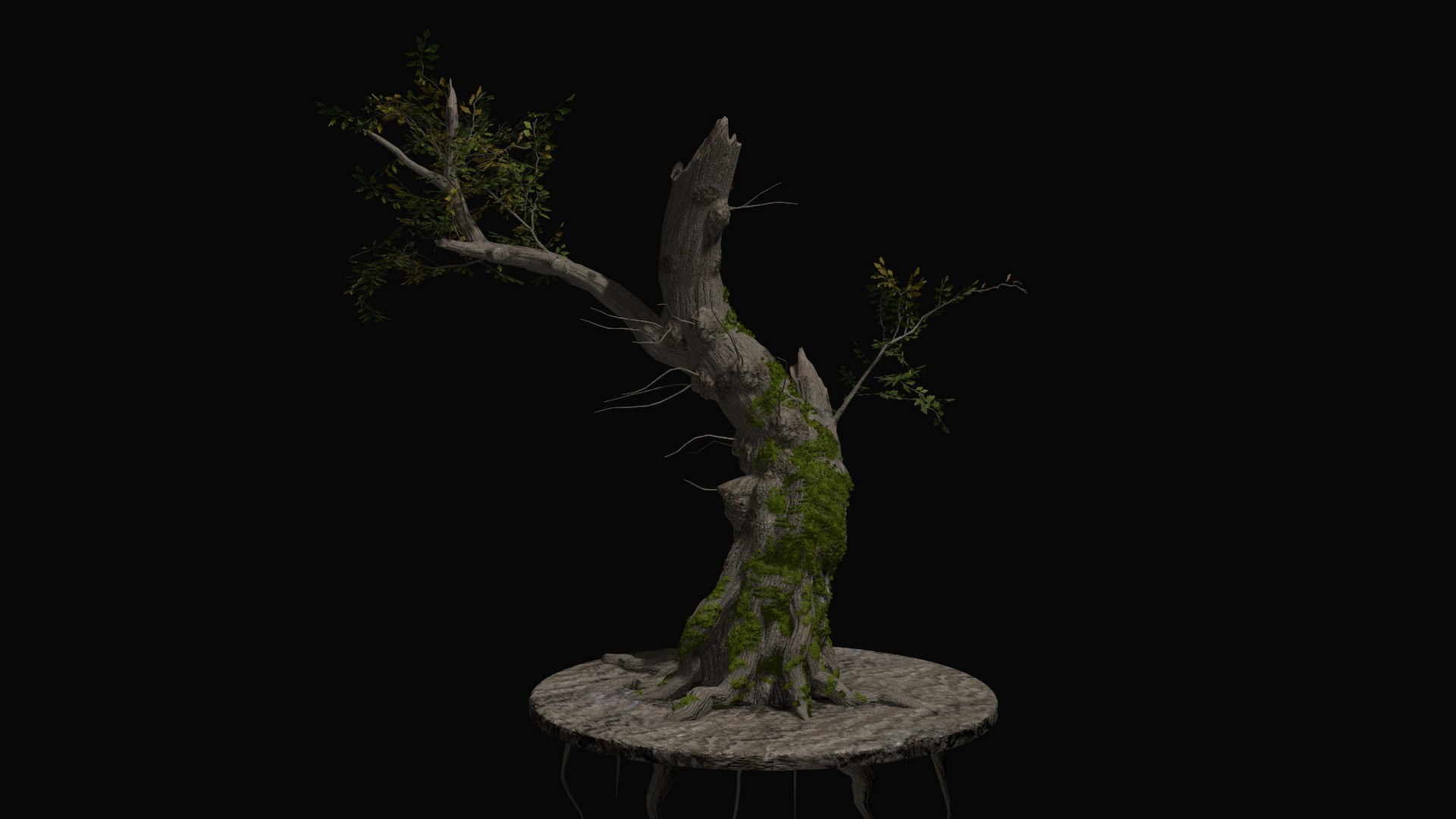 Old Bare Broken Tree Oak 3D - TurboSquid 2277429