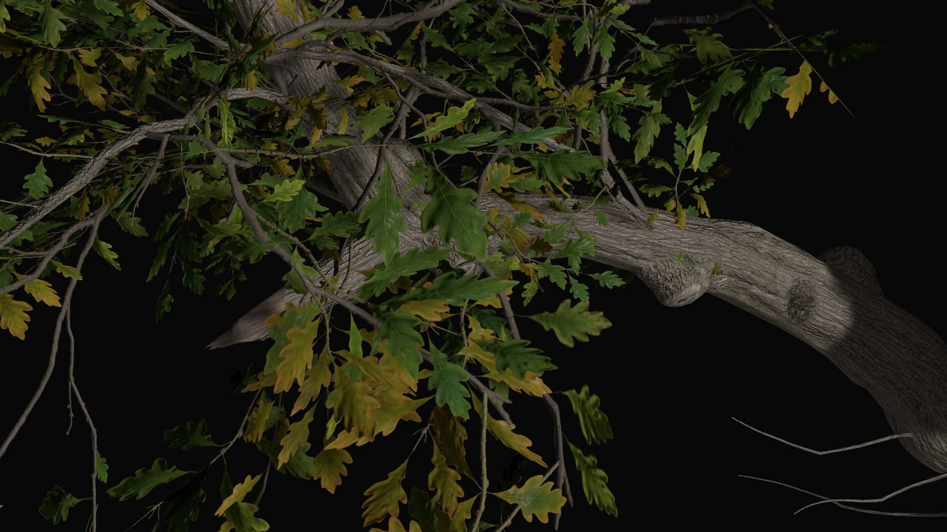 Old Bare Broken Tree Oak 3D - TurboSquid 2277429