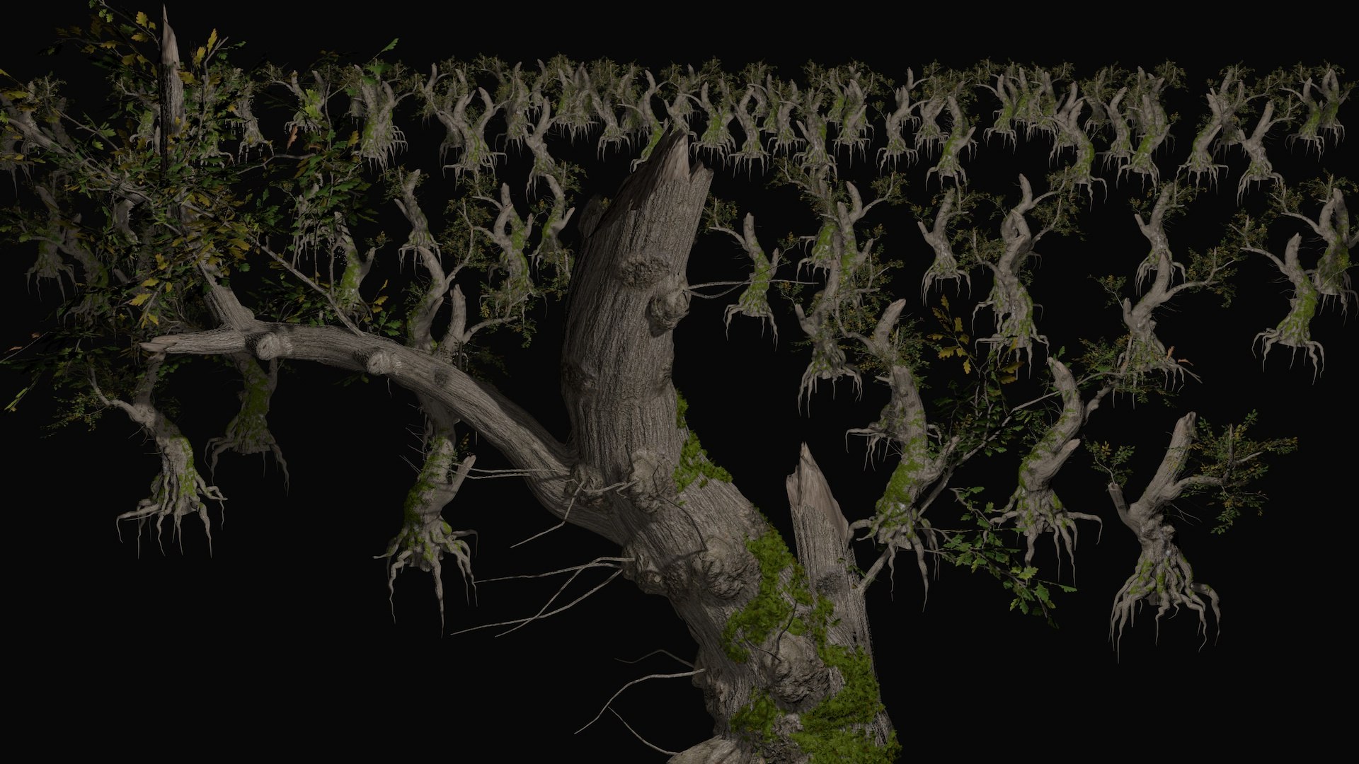 Old Bare Broken Tree Oak 3D - TurboSquid 2277429