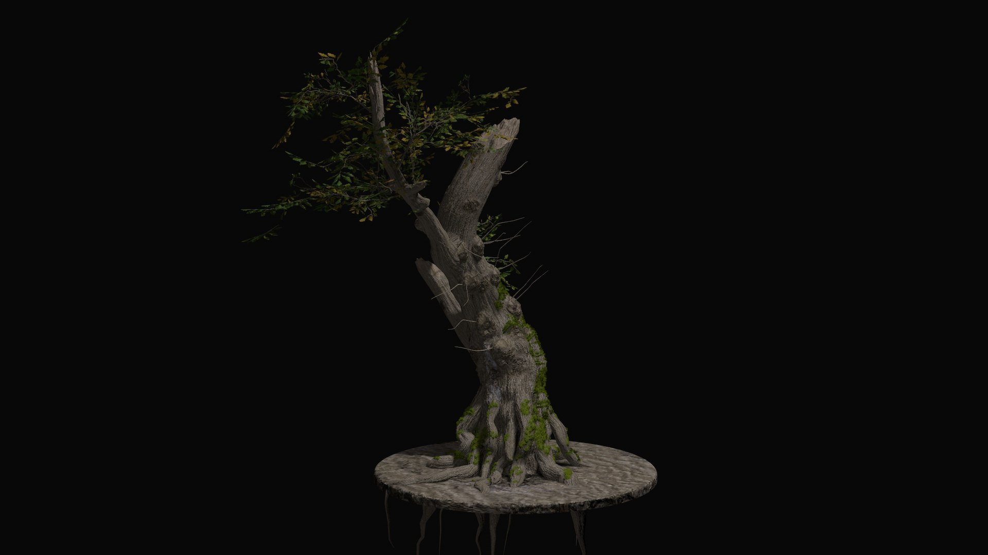 Old Bare Broken Tree Oak 3D - TurboSquid 2277429