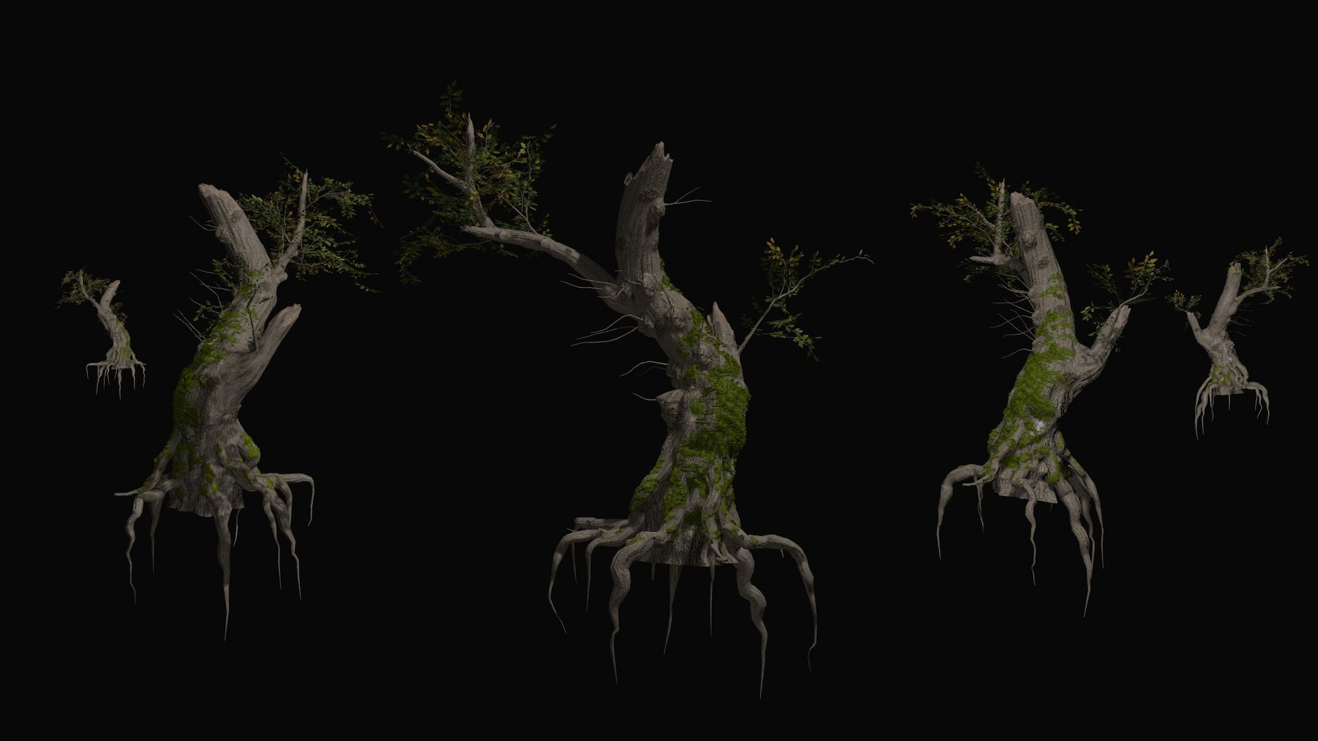 Old Bare Broken Tree Oak 3D - TurboSquid 2277429