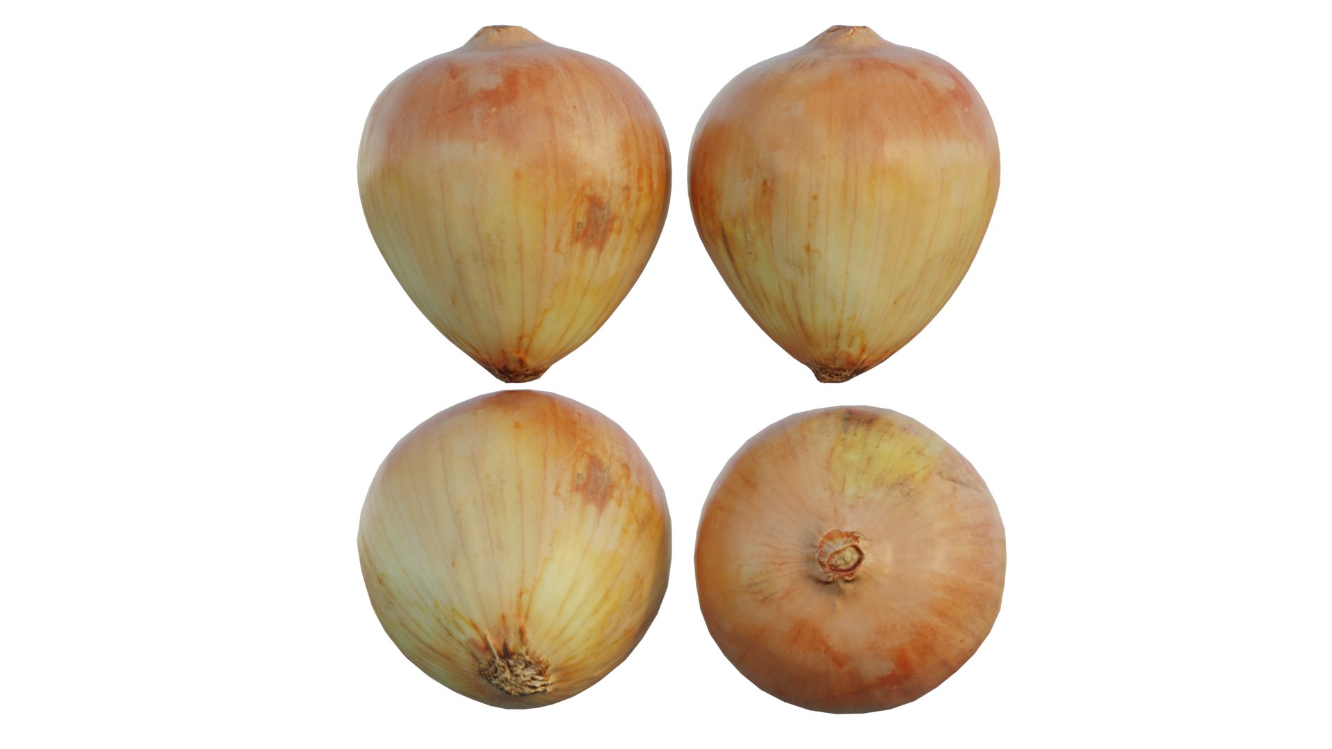 3D Onion Model - TurboSquid 1939162