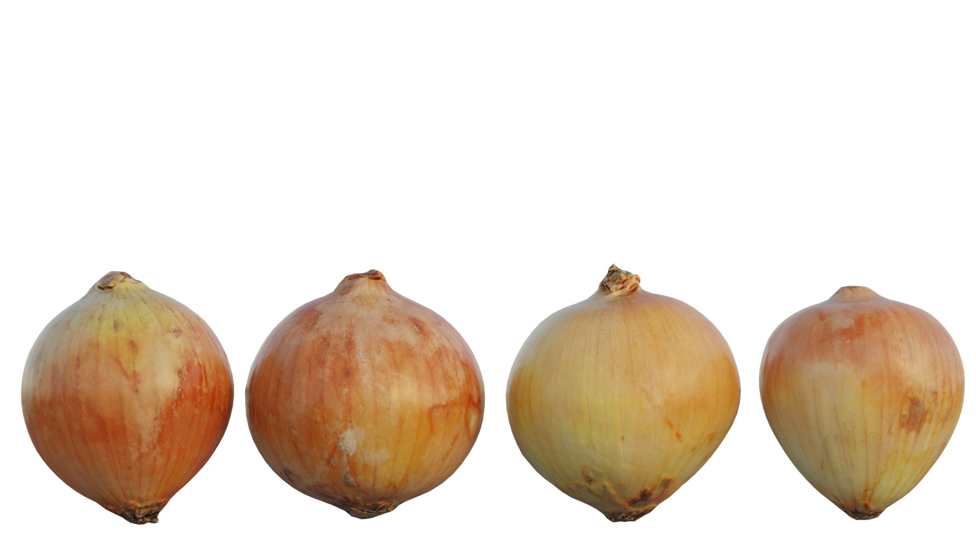 3D Onion Model - TurboSquid 1939162
