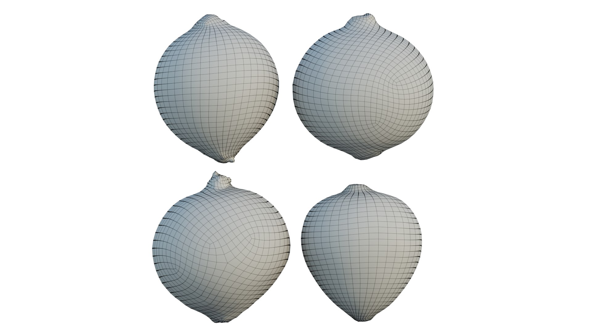 3D Onion Model - TurboSquid 1939162