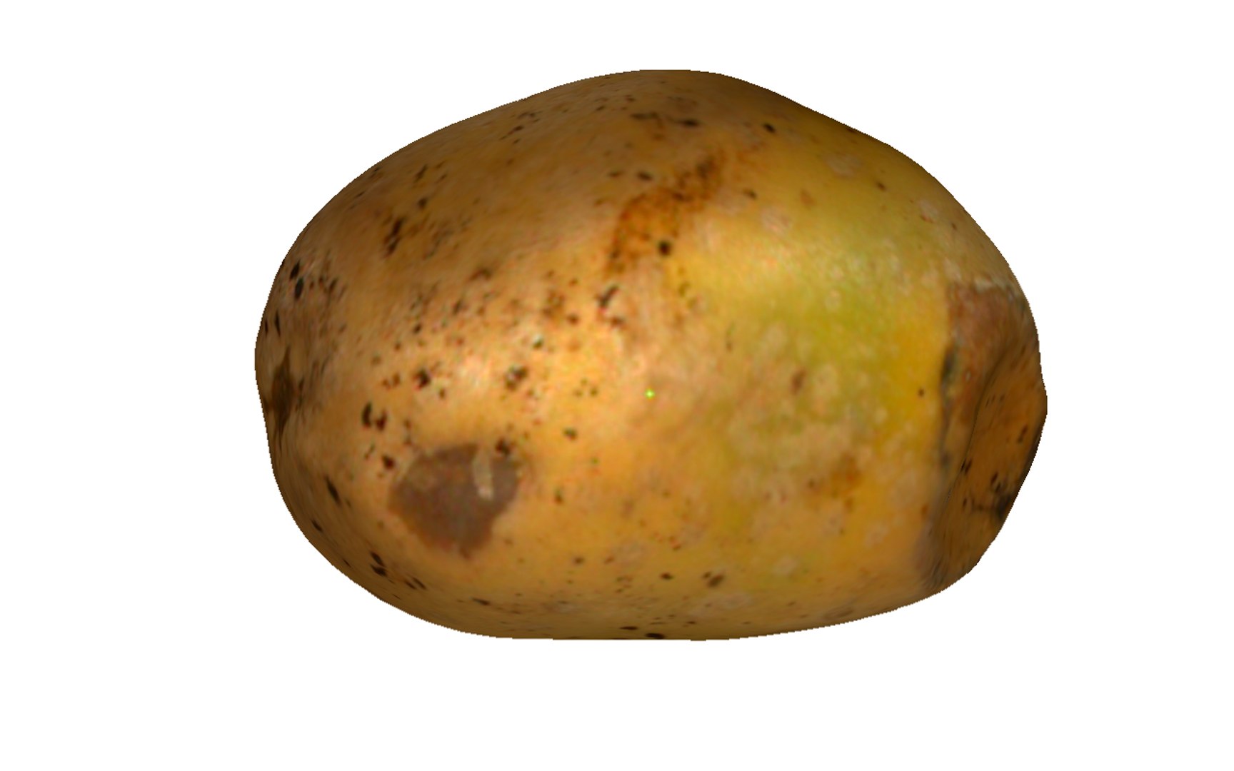 3D Potato Real Model - TurboSquid 1620411