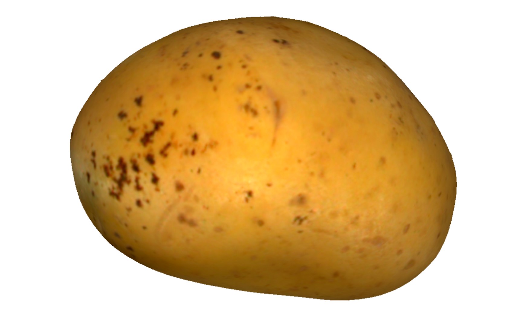 3D Potato Real Model - TurboSquid 1620411