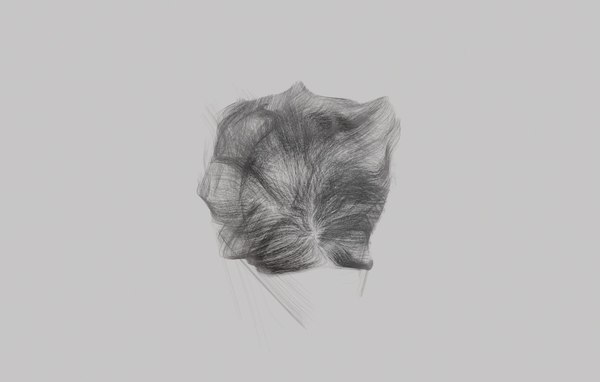 3D Gray womens hair - TurboSquid 2008323