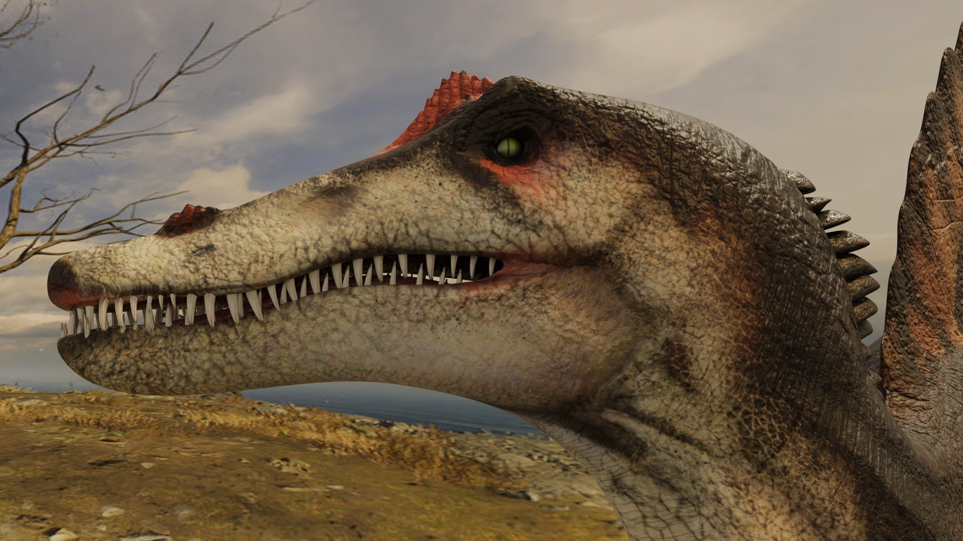 Spinosaurus Animated 3D Model - TurboSquid 1944561