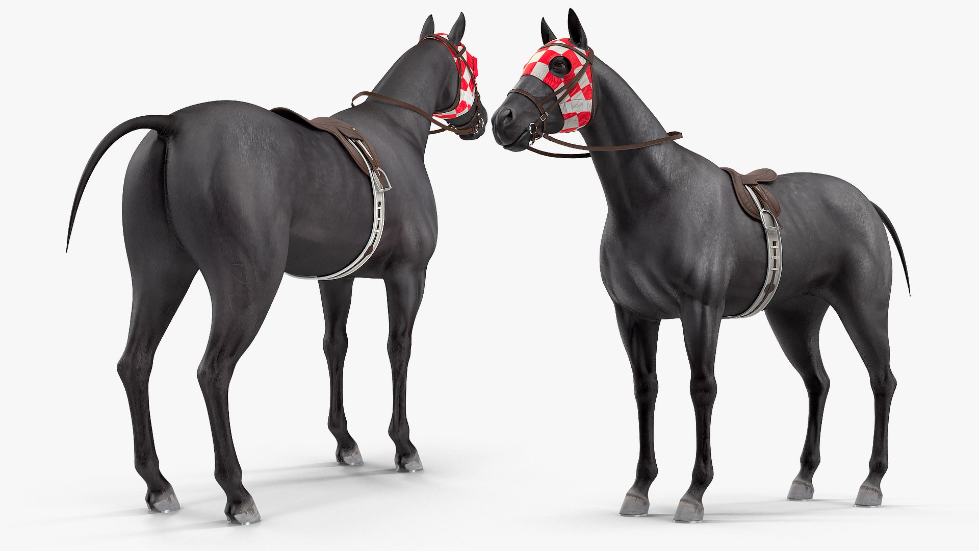 Racehorse black horse model - TurboSquid 1465415