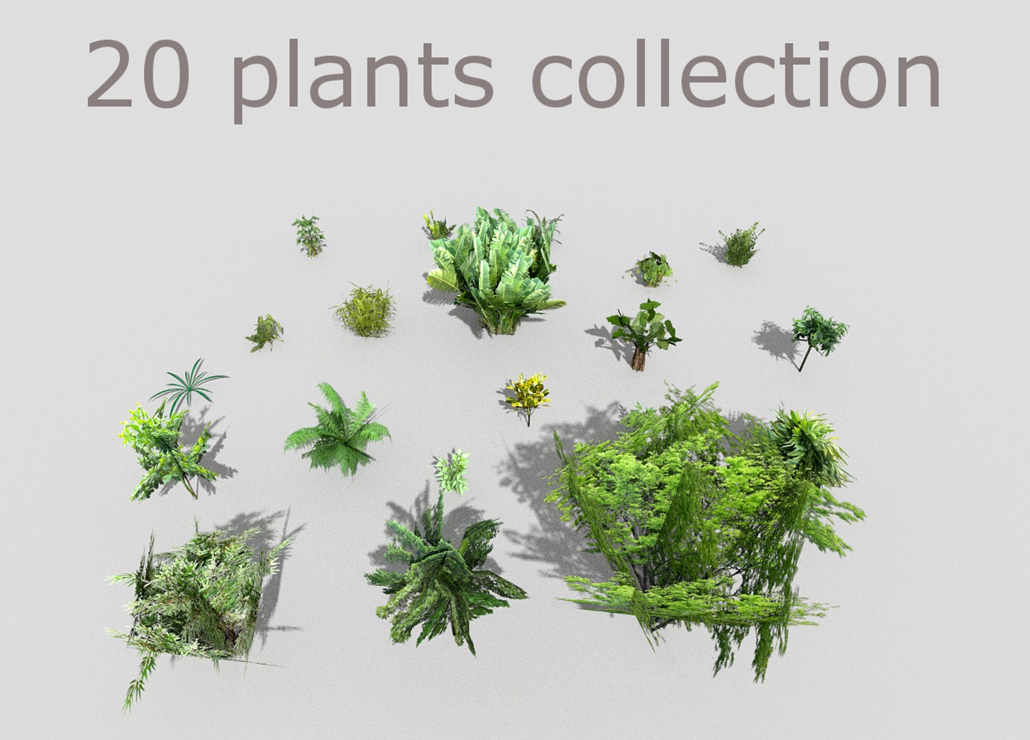 3d plants model