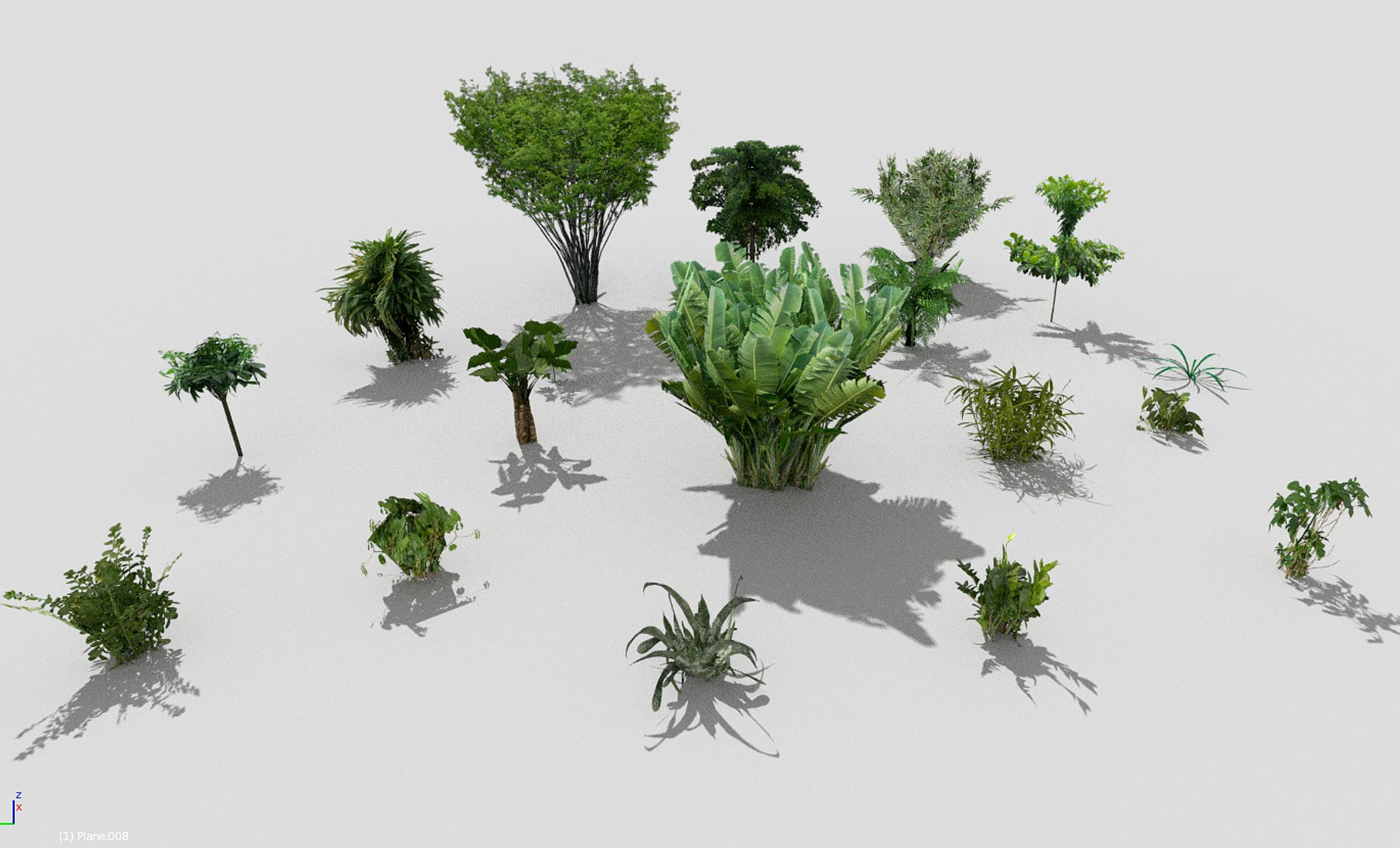 3d plants model