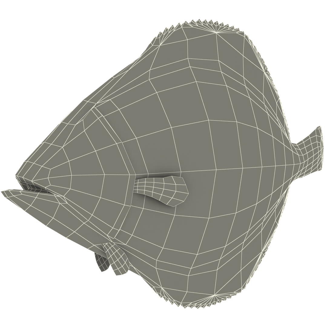 3d flatfish modelled model