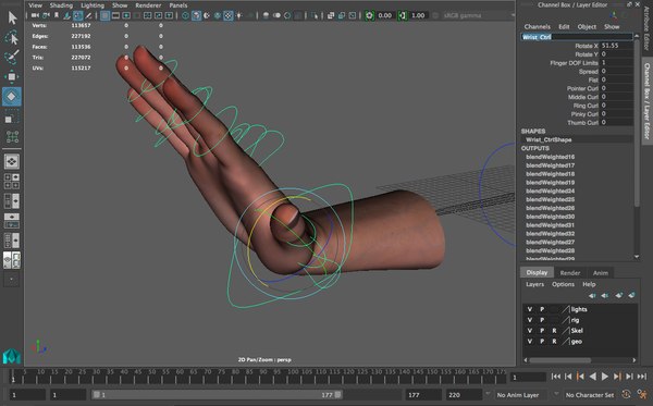 3d model male human hand rigged
