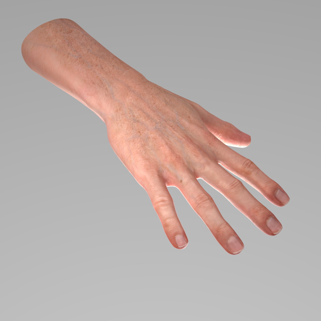 3d model male human hand rigged
