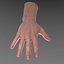 3d Model Male Human Hand Rigged