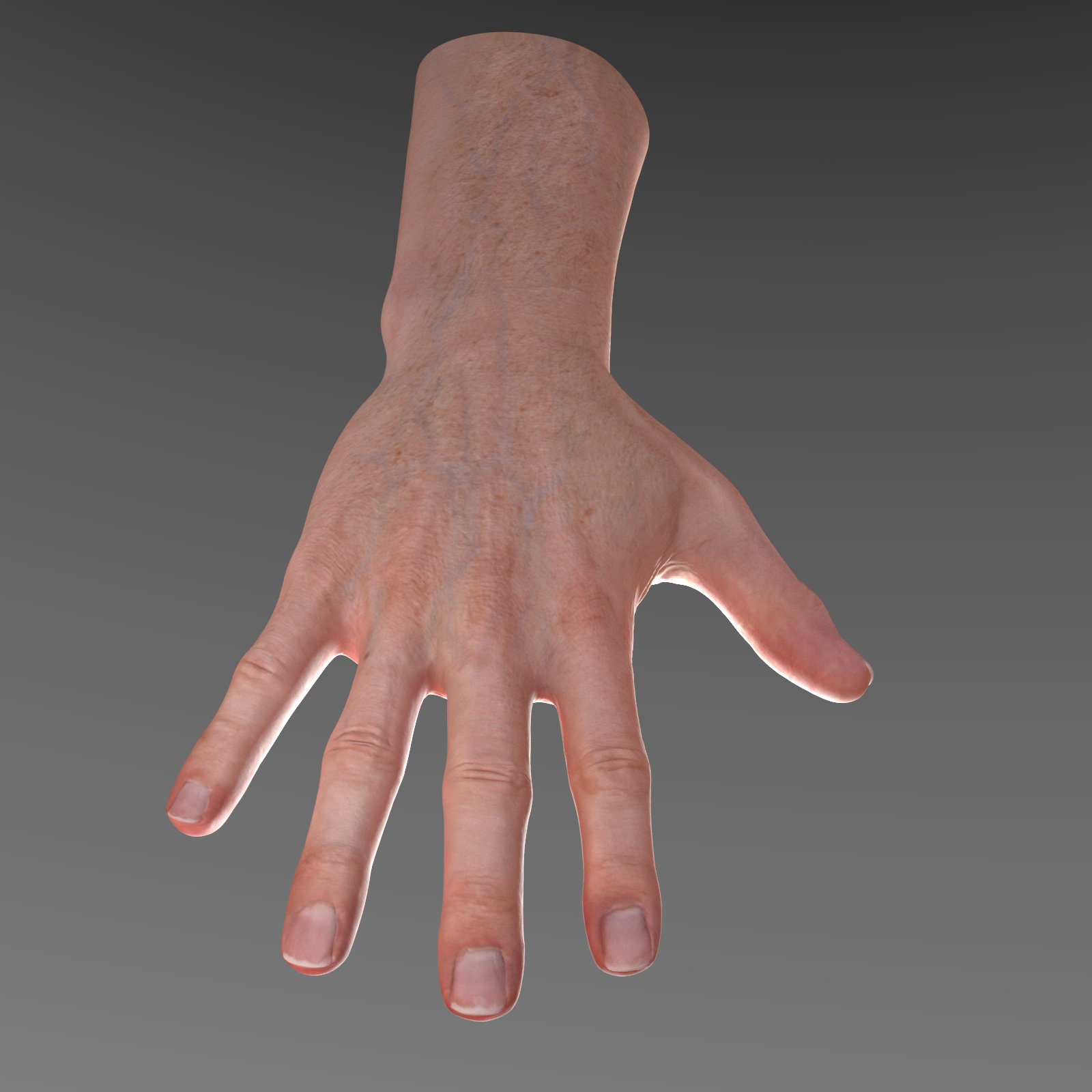 3d model male human hand rigged
