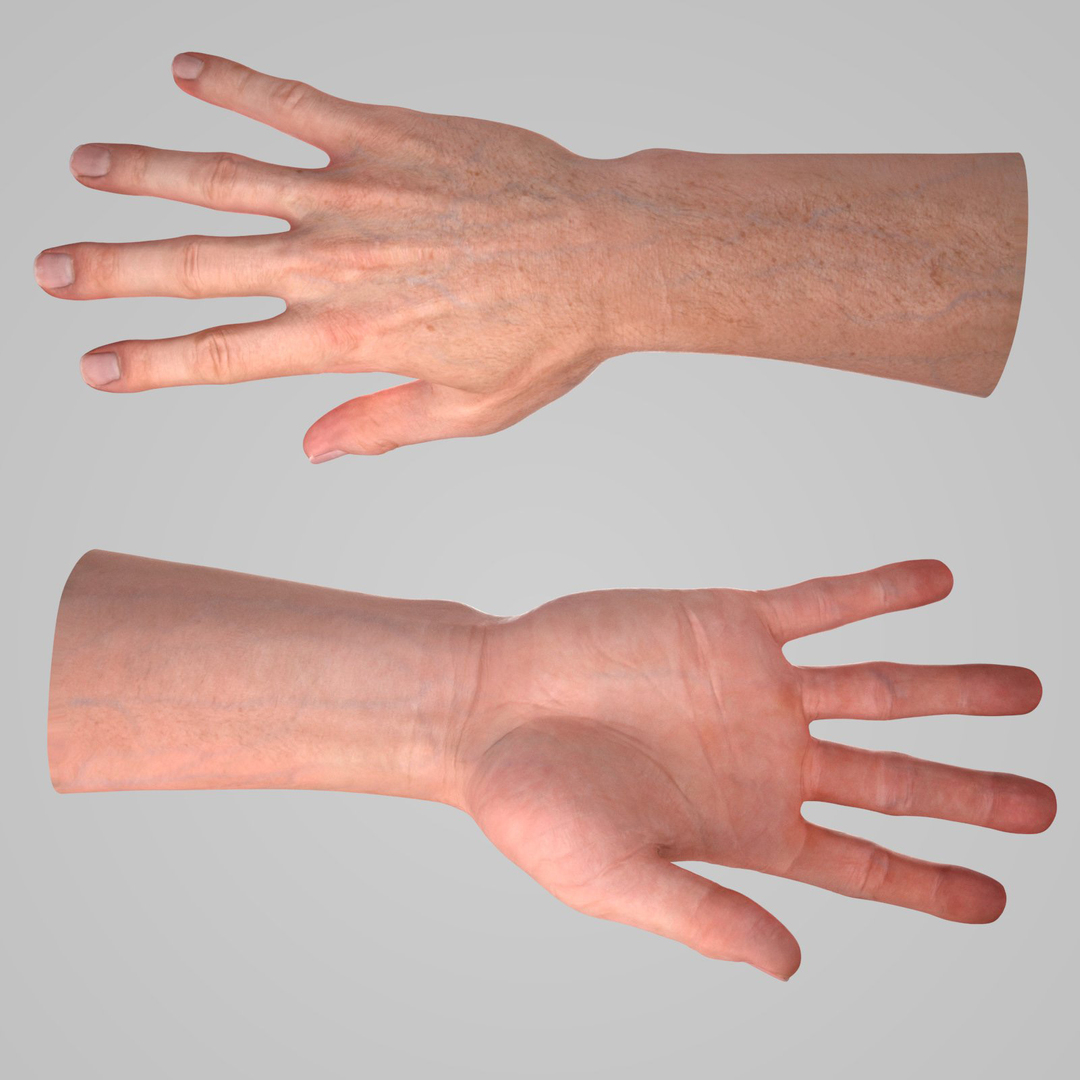 3d model male human hand rigged