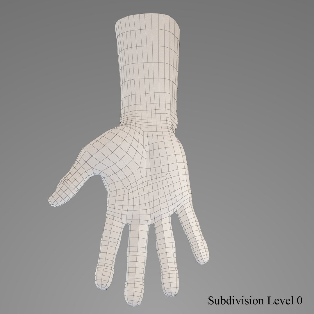 3d Model Male Human Hand Rigged