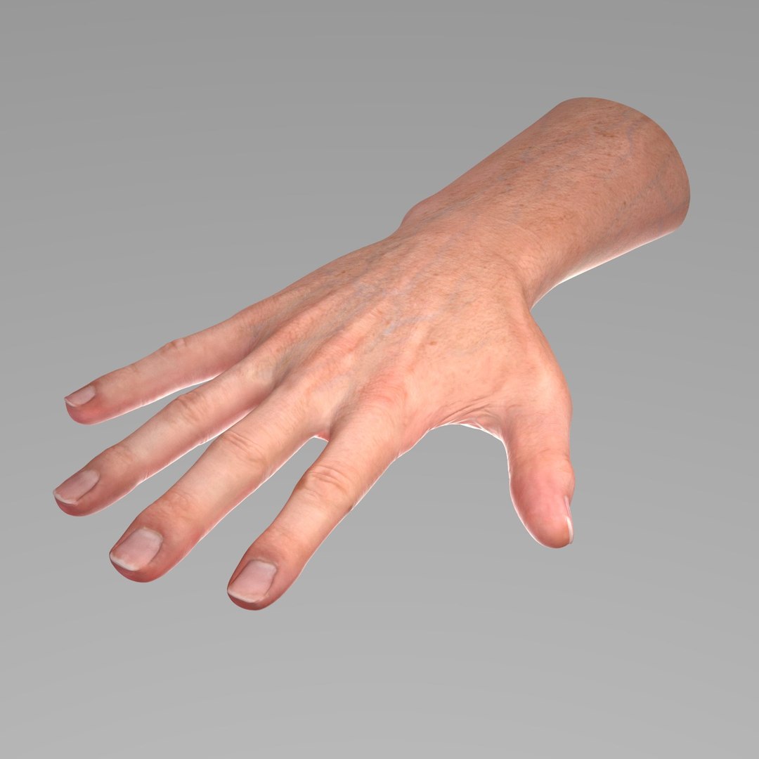 3d Model Male Human Hand Rigged