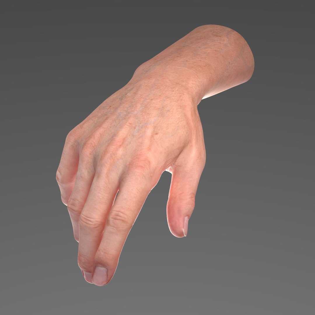 3d Model Male Human Hand Rigged