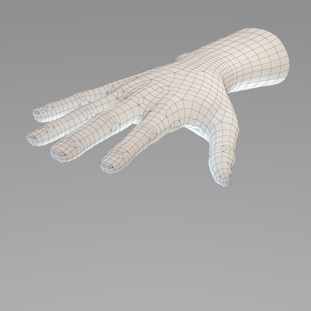 3d Model Male Human Hand Rigged