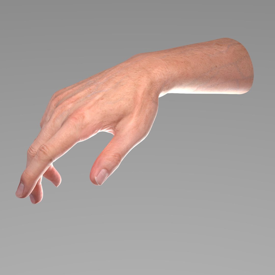 3d Model Male Human Hand Rigged