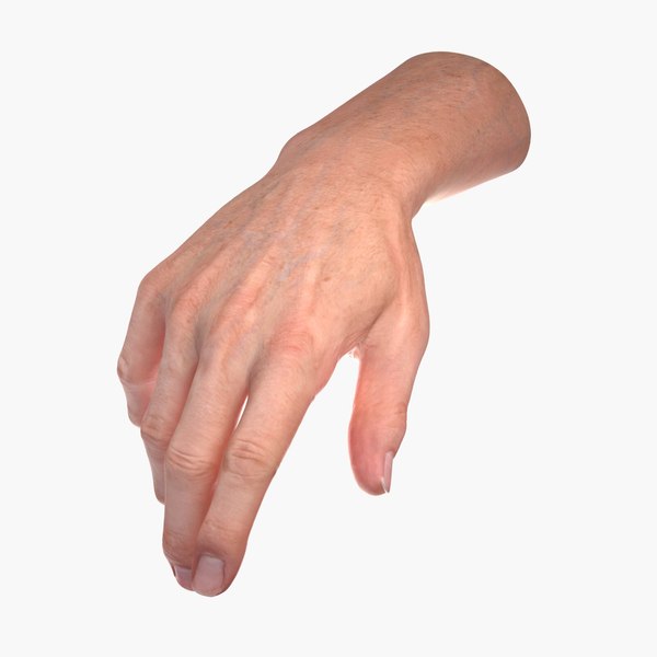 Free 3D Hand Models | TurboSquid