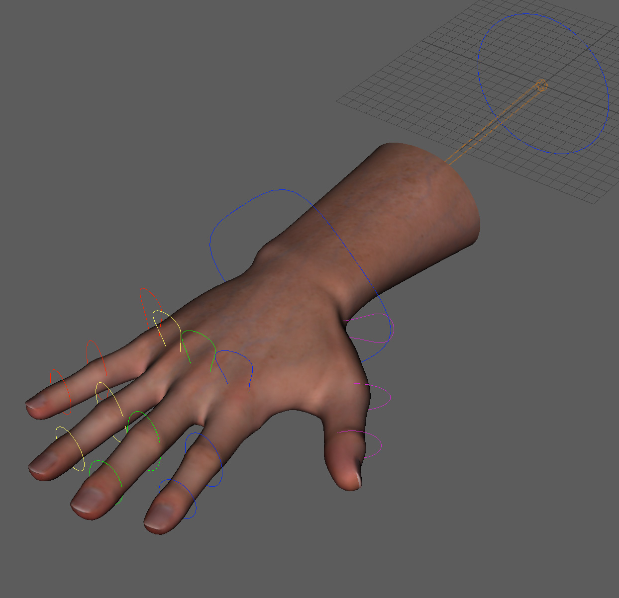 3d model male human hand rigged