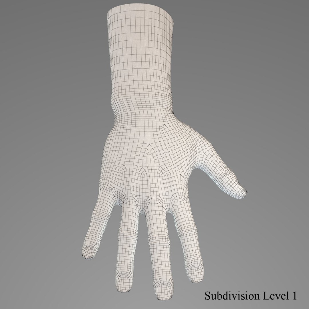 3d Model Male Human Hand Rigged