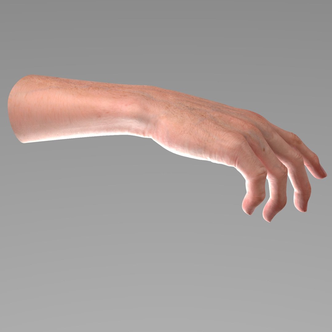 3d Model Male Human Hand Rigged
